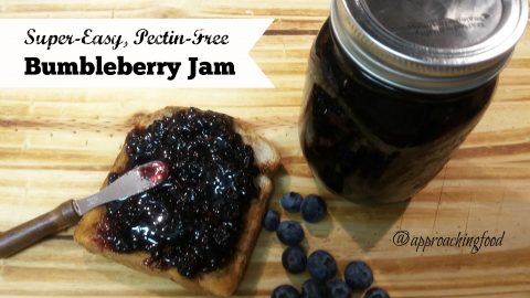 Super-Easy & Pectin-Free Bumbleberry Jam! - Approaching Food
